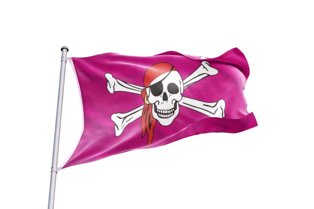 Bandera Pirata Rosa Provocador | Isla Pirata